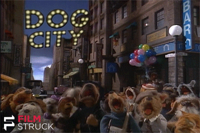 Jim Henson Dogs GIF by FilmStruck - Find & Share on GIPHY