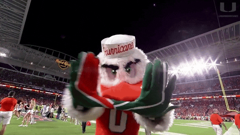 U Hands College Football GIF by Miami Hurricanes - Find & Share on GIPHY