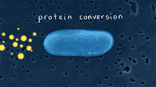 Energy Fuel GIF by University of California - Find & Share on GIPHY