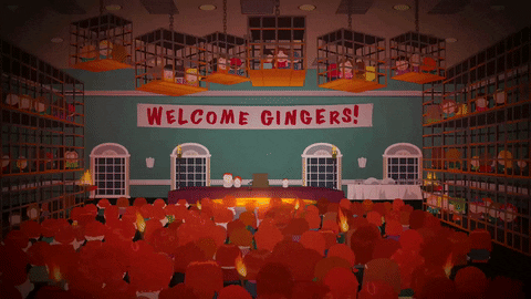Meeting Gathering GIF by South Park - Find & Share on GIPHY