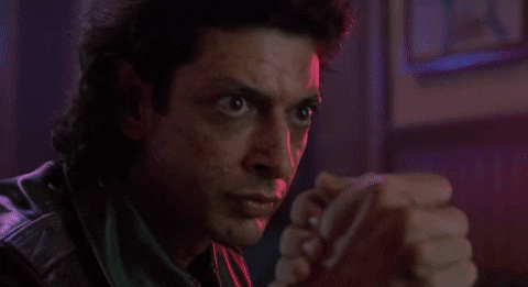 The Fly GIF - Find & Share on GIPHY