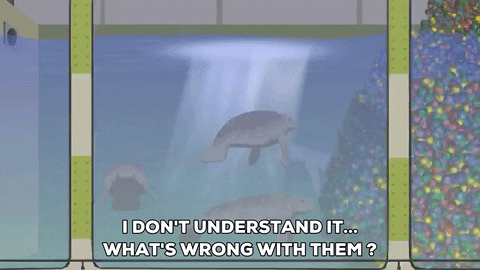 Manatee Swimming GIF by South Park - Find & Share on GIPHY