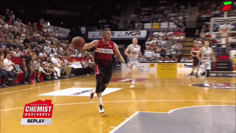 - Find & Share on GIPHY