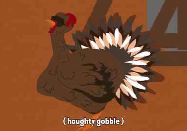Turkey GIF by South Park - Find & Share on GIPHY