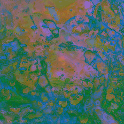 Art Color GIF by BTBDesignNC - Find & Share on GIPHY