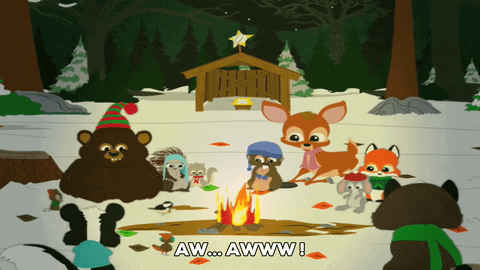 Fire Forest GIF by South Park - Find & Share on GIPHY