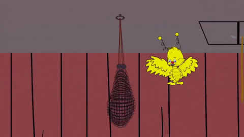 Bird Capture GIF by South Park - Find & Share on GIPHY