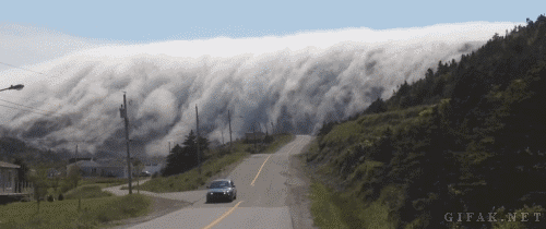 Fog GIF - Find & Share on GIPHY