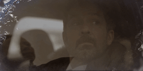 Cardinal GIF by CTV - Find & Share on GIPHY