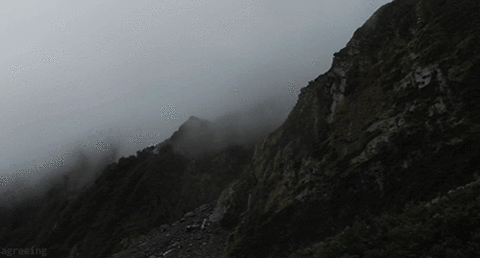Fog GIF - Find & Share on GIPHY
