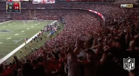 Atlanta Falcons Nfl Fans GIF by NFL - Find & Share on GIPHY