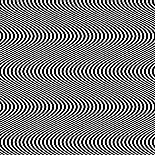 Loop Wave GIF by xponentialdesign - Find & Share on GIPHY