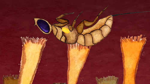 Insect Wasp GIF by PBS Digital Studios - Find & Share on GIPHY