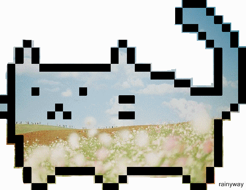 Art Fat Pixel Cat GIF by hoppip - Find & Share on GIPHY