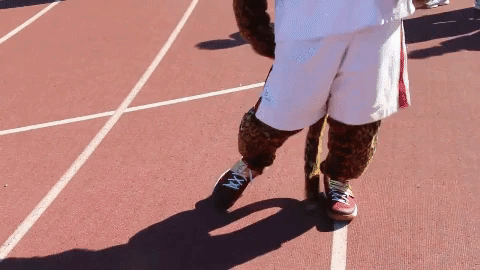 Shake Em Off Iupui Jaguars GIF by IUPUI - Find & Share on GIPHY