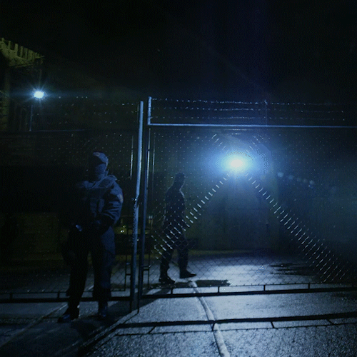 K-391 Mystery GIF - Find & Share on GIPHY