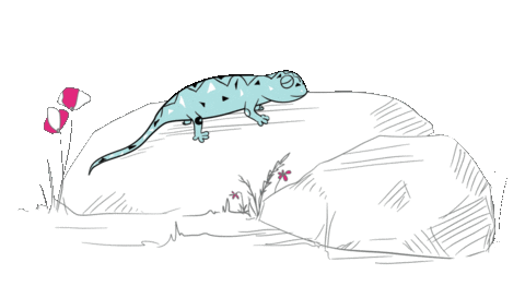 Sleep Lizard Sticker by Breden Kids for iOS & Android | GIPHY