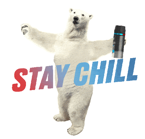 Stay Chill Polar Bear Sticker by AXE for iOS & Android | GIPHY