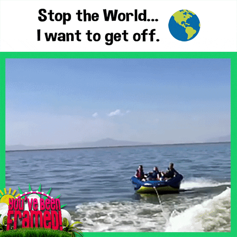 Hold On Tight GIF by You've Been Framed! - Find & Share on GIPHY