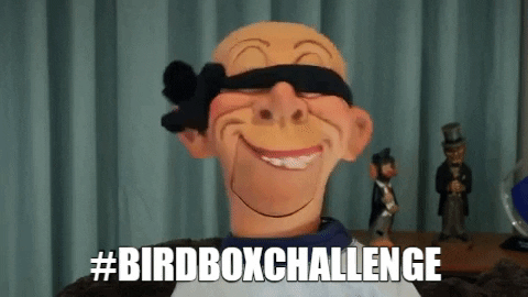 Bird Box Bubba GIF by Jeff Dunham - Find & Share on GIPHY