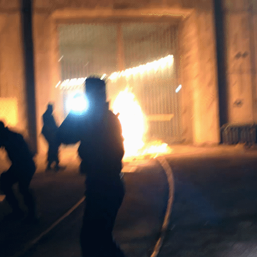 K-391 Mystery GIF - Find & Share on GIPHY