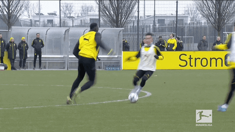Borussia Dortmund Football GIF by Bundesliga - Find & Share on GIPHY