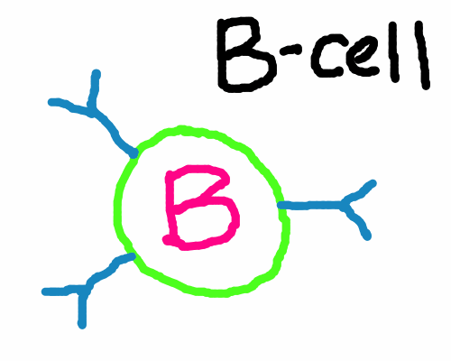 Cells GIF - Find & Share on GIPHY