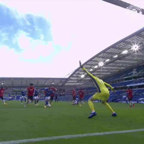 Save Man Utd GIF by Manchester United - Find & Share on GIPHY