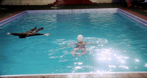 Pool GIFs - Find & Share on GIPHY