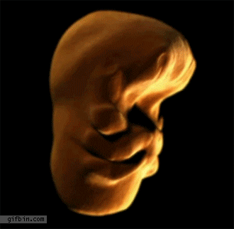Human Development GIFs - Find & Share on GIPHY