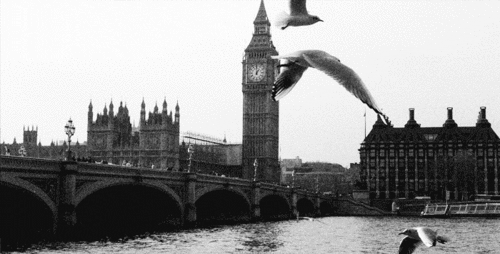 Big Ben GIF - Find & Share on GIPHY