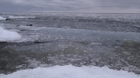 Icy GIFs - Find & Share on GIPHY