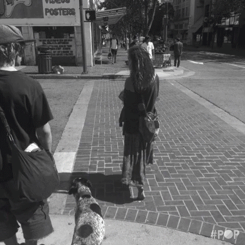 Telegraph GIF by GoPop - Find & Share on GIPHY