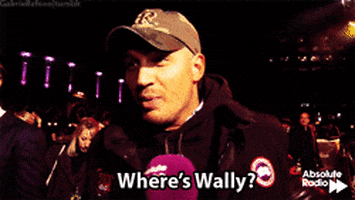Wheres Wally GIFs - Get the best GIF on GIPHY
