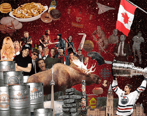 Canada GIF - Find & Share on GIPHY