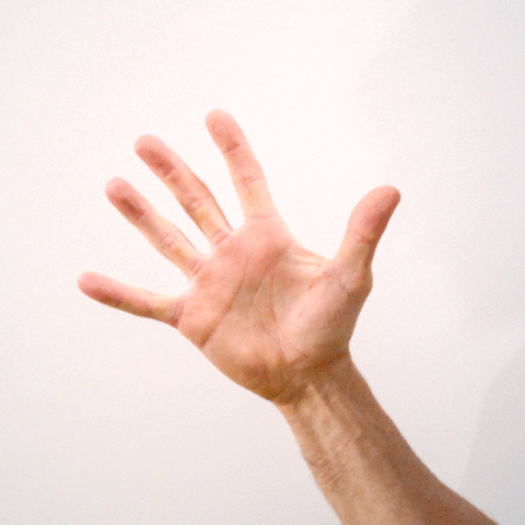 Fist GIFs - Find & Share on GIPHY