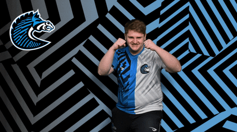 Rocket League Esports GIF by BS+COMPETITION - Find & Share on GIPHY