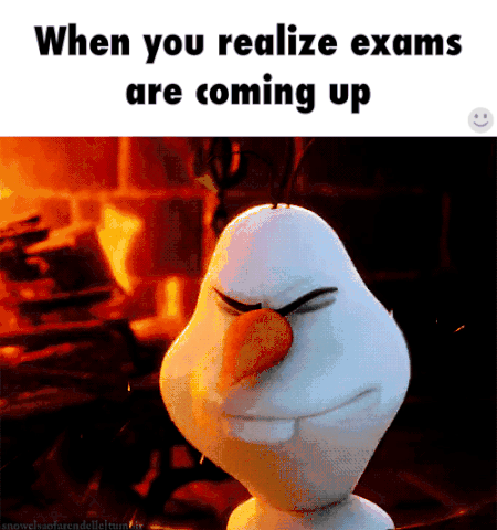 Exams GIF - Find & Share on GIPHY