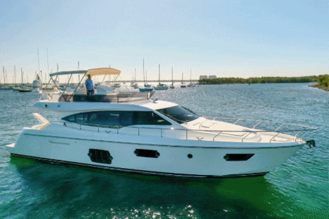 FYI Yachts GIF - Find & Share on GIPHY