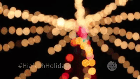 Mypridehialeah Miorgullohialeah GIF by City of Hialeah - Find & Share ...