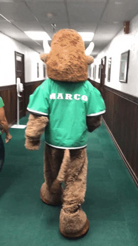 We Are Marshall Marco GIF by Marshall University - Find & Share on GIPHY