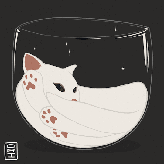 Liquid Cat GIFs - Get the best GIF on GIPHY