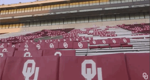 Boomer Sooners GIF by University of Oklahoma - Find & Share on GIPHY