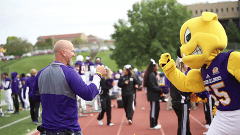 Football Win GIF by Western Illinois University - Find & Share on GIPHY