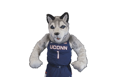 Cheer O Sticker by UConn Huskies for iOS & Android | GIPHY
