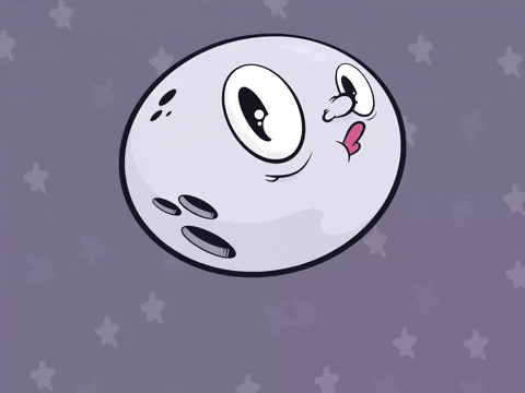 Fresh Cake - Share a Bite