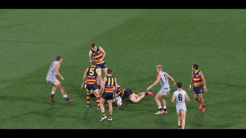 Afl GIF by Adelaide Crows - Find & Share on GIPHY