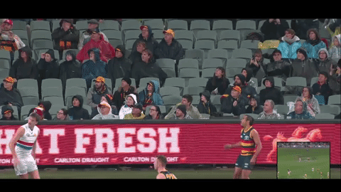 Afl GIF by Adelaide Crows - Find & Share on GIPHY