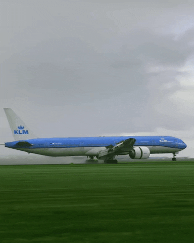 Plane Go GIF - Find & Share on GIPHY