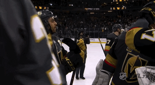Ice Hockey Love GIF by NHL - Find & Share on GIPHY